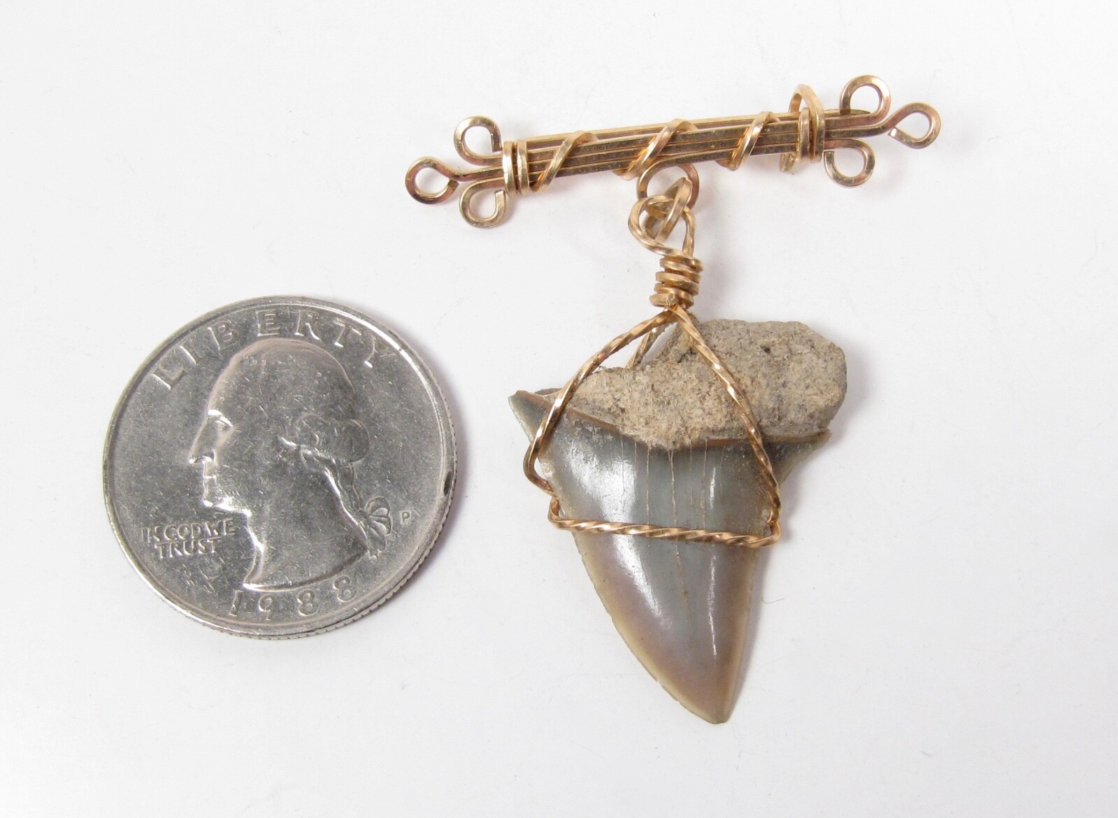 Victorian Gold Filled Wrapped Shark Tooth Dangle Pin Brooch RARE ...