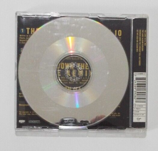 Ice T The Lane CD Single - VG+ | eBay