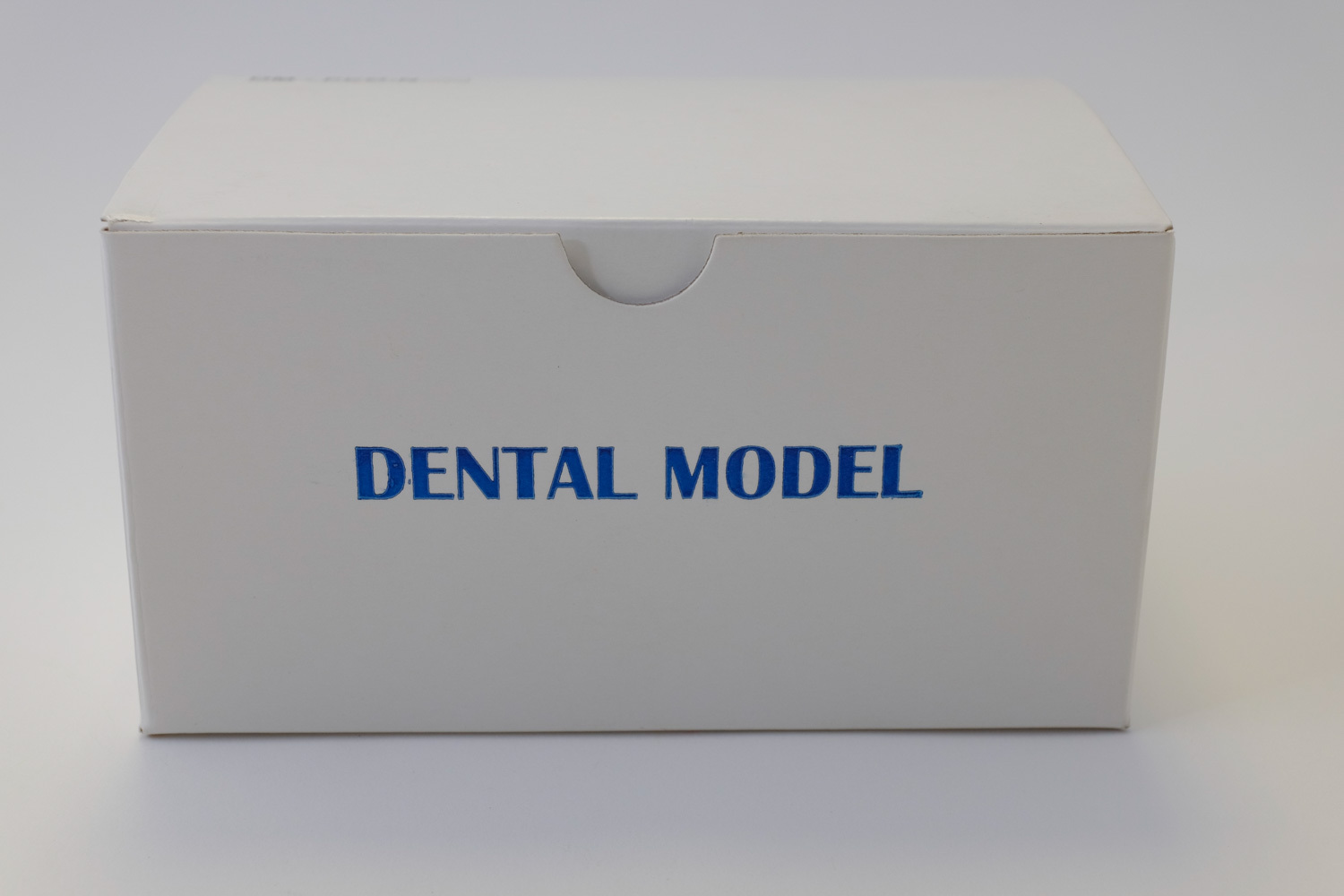 Dental Anatomy Typodont Educational Pediatric Kit Removable Teeth NBDE ...