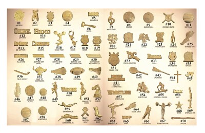 CHENILLE PINS VARSITY LETTERMAN JACKET SPORT ACADEMIC LAPEL PINS GOLD ...