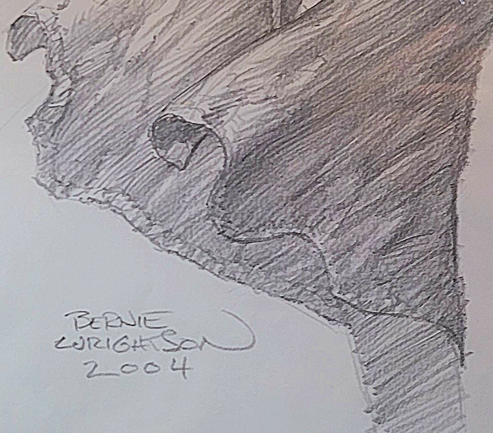 Bernie Wrightson FRANKENSTEIN Original Pencil Drawing Custom Framed ART ...