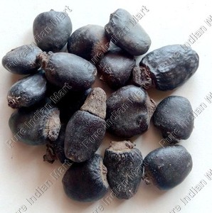 Bhilwa Bhilva Seed Semecarpus Anacardium Dhobi Marking Nut Bhallatak ...