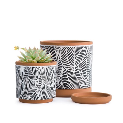 D'vine Dev Set of 2 Terracotta Pots, Leaves Pattern Planter Pot, 4 Inch ...