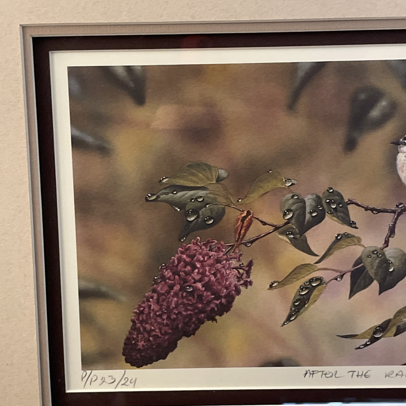 Terrence Andrews "After The Rain" Lithographed Print 1990 Hand Signed ...