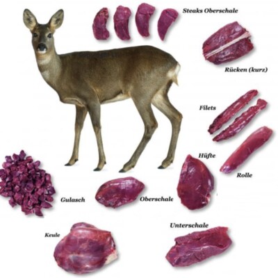 Wildfleisch v. Reh Wildschwein Damwild Rotwild - Keule Blatt Rücken ...