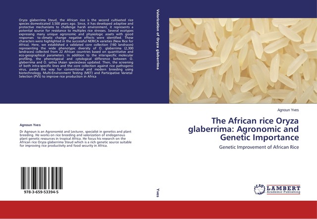 The African Rice Oryza Glaberrima: Agronomic And Genetic Importance von ...