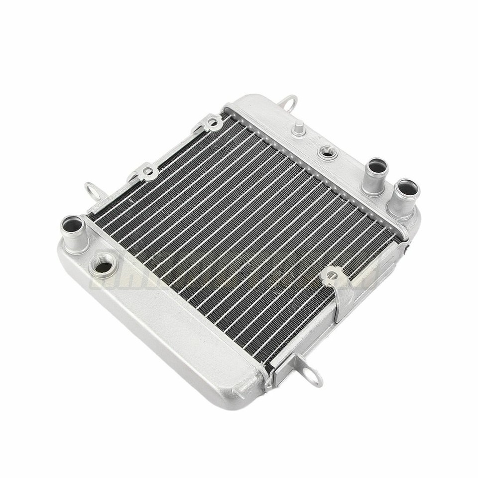 Wasserkühler Radiator Kühler Für Honda PS250 Big Ruckus 2006 19010-KTB ...
