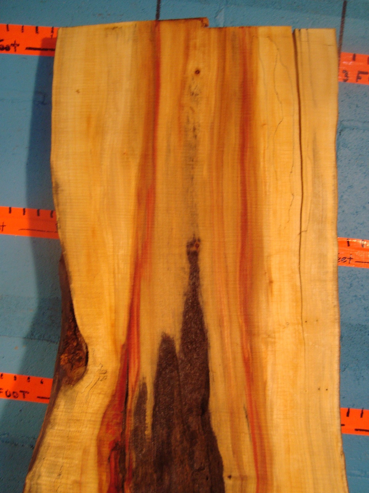 #8315 flaming red box elder live edge slab lumber wood 49 7/8"L 18"W2 5 ...