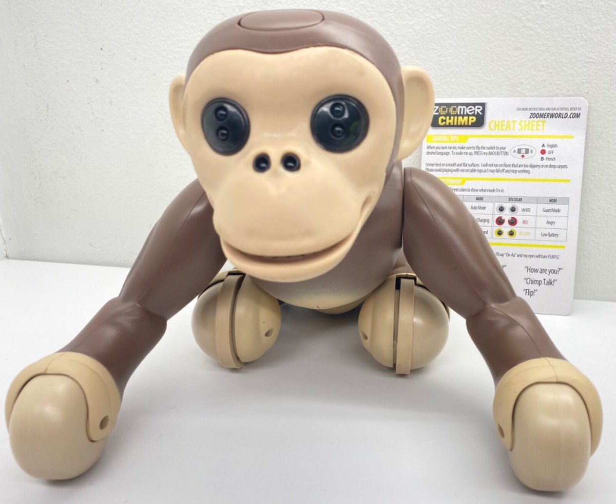 Master Chimp Who Plays Monkey In The Kung Fu Panda Movie And TV Show?