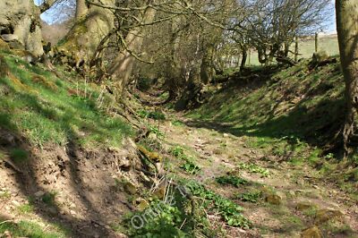 Photo 12x8 A sunken footpath to Embsay Moor Eastby It would probably be ...