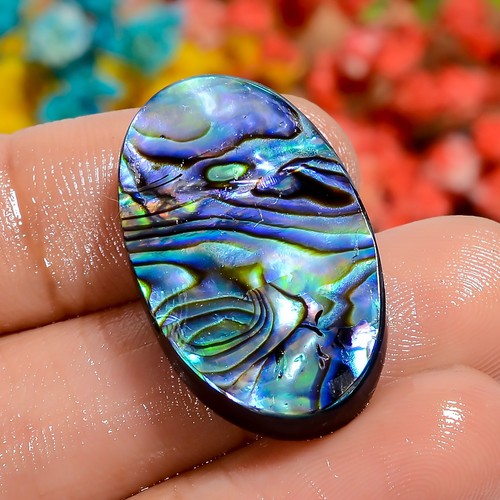 Authentic Abalone Shell Oval Shape Cabochon Loose Gemstone 23 Ct ...