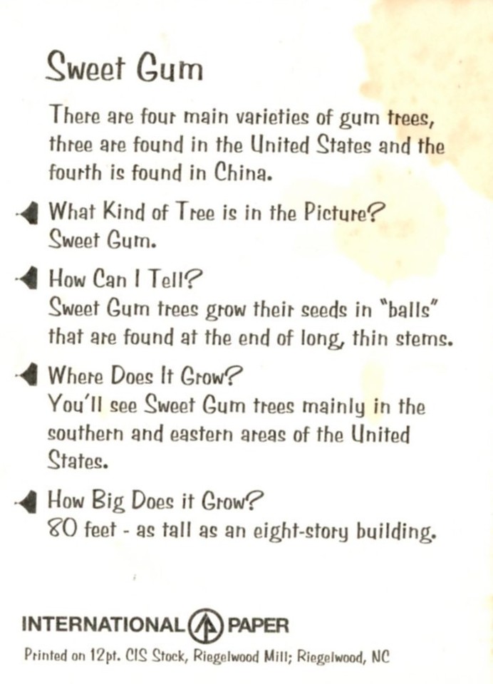 INTERNATIONAL PAPER cards Riegelwood Mill NC Sweet GUM | eBay