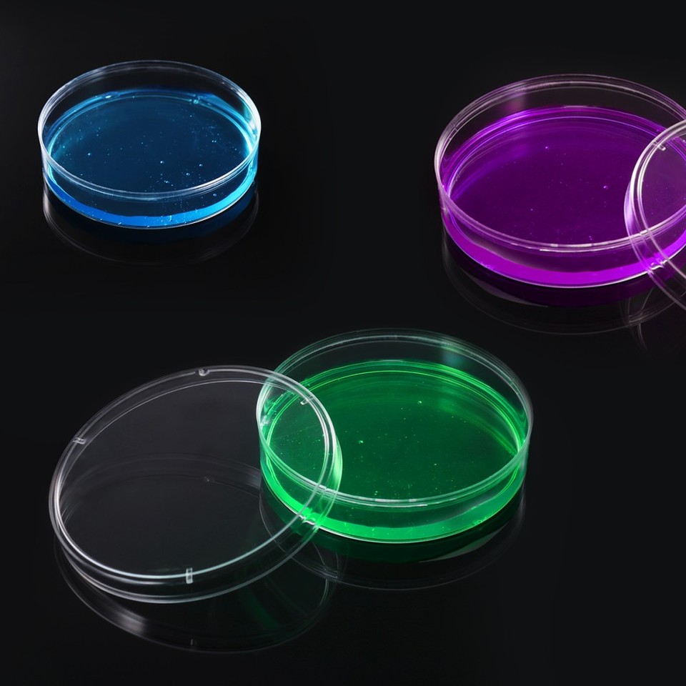 Plastic Petri Dish Culture Dish, Medium Laboratory Dishes with Lid | eBay