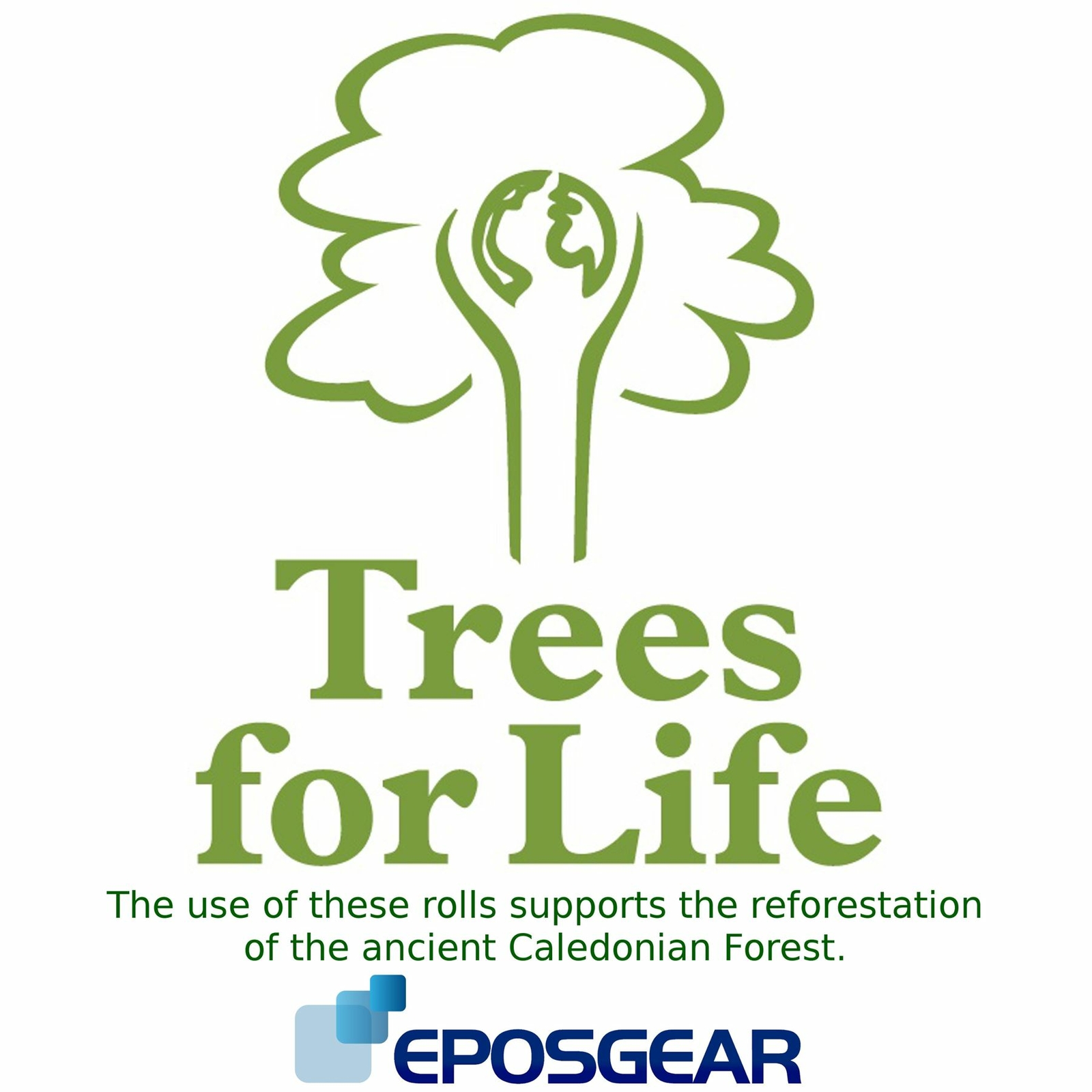 Thermal Paper Credit Card Machine Till Rolls ~ 57x40 mm | eBay UK