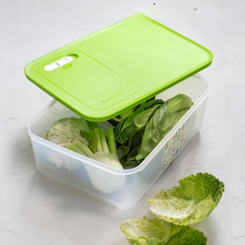 Tupperware KlimaOase 9,9 Liter im XXL-Format Kühlschrank ...