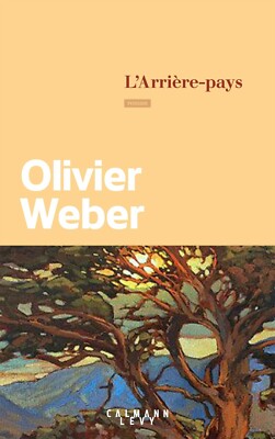 L'Arrière-pays - Olivier Weber - abc | eBay