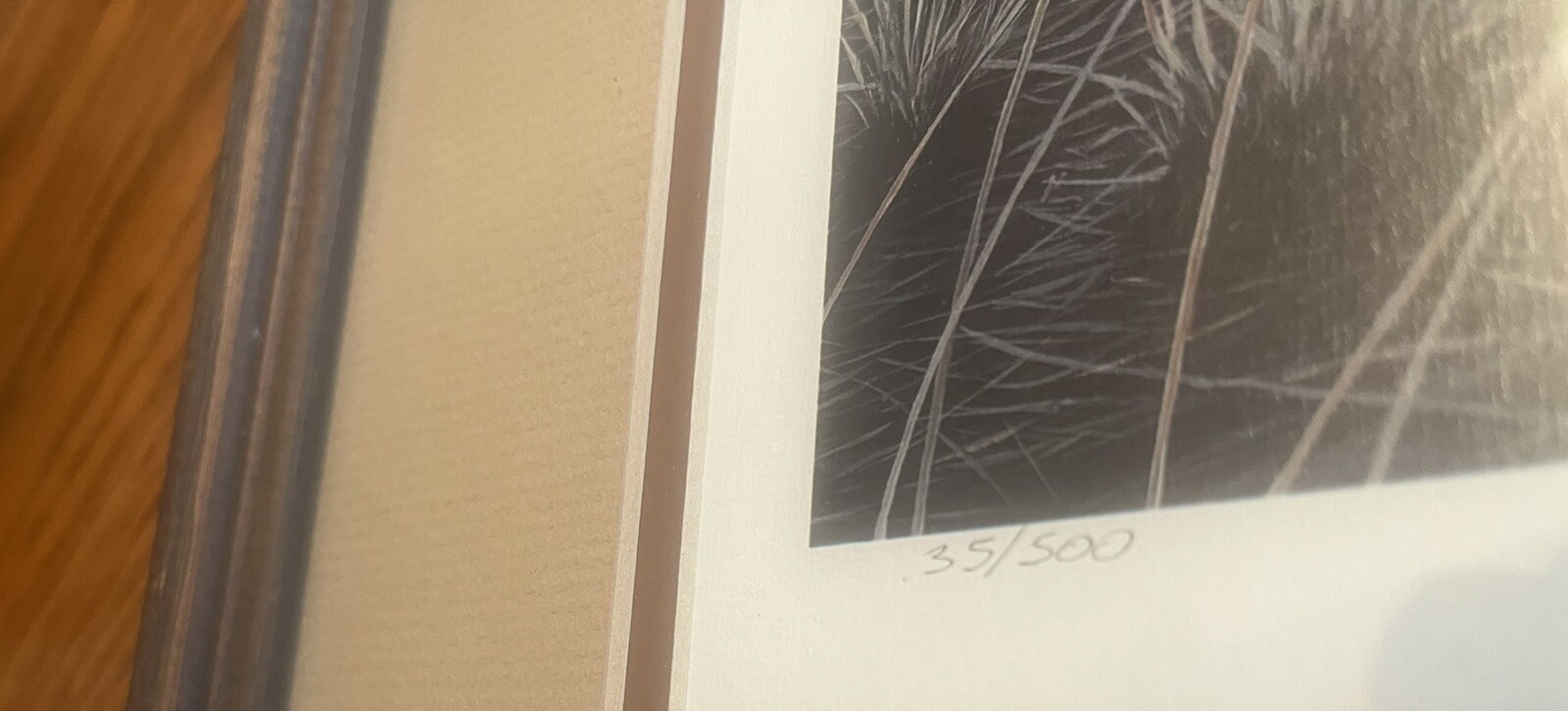 Dave Samuelson Limited Ed Signed Framed Print | eBay