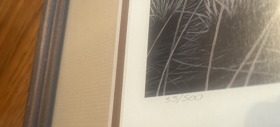 Dave Samuelson Limited Ed Signed Framed Print | eBay