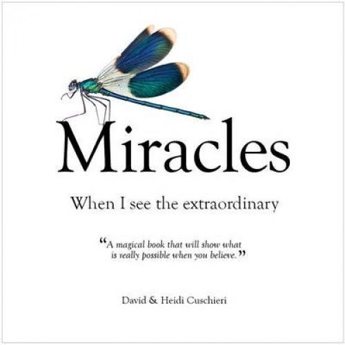 Miracles: When I See the Extraordinary by David Cuschieri, Heidi ...