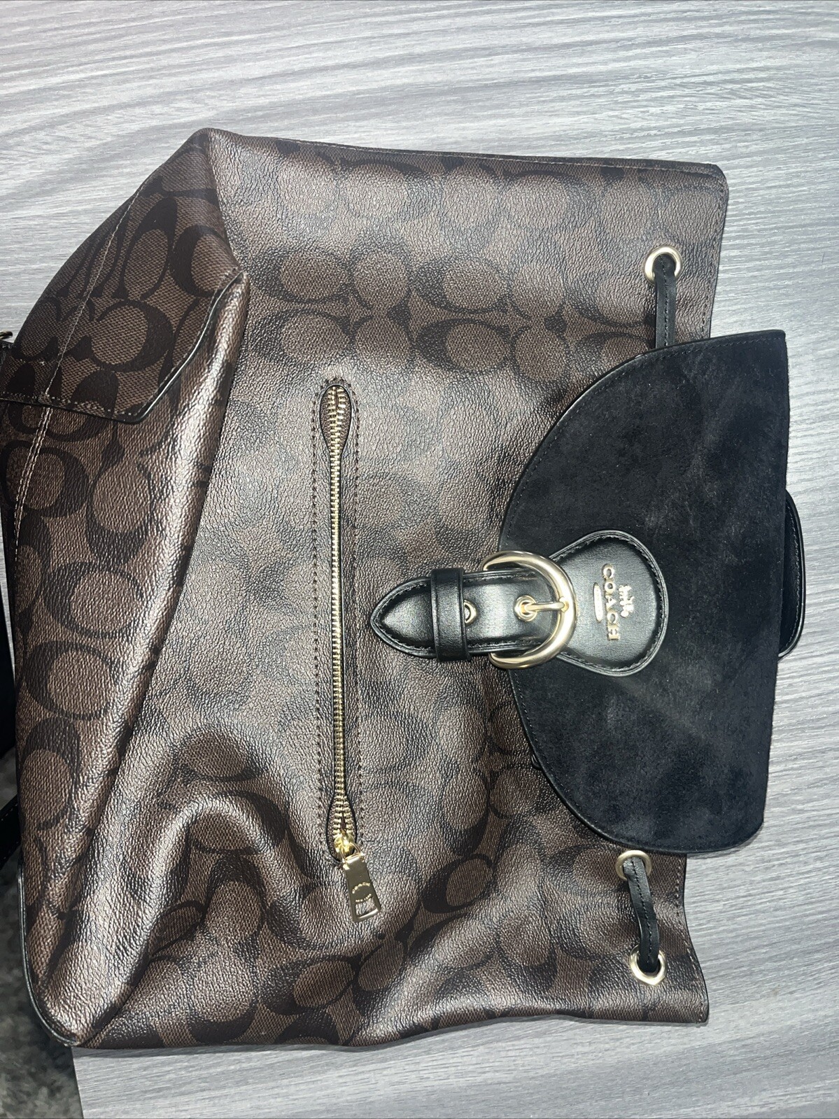 Coach Backpack - Gem