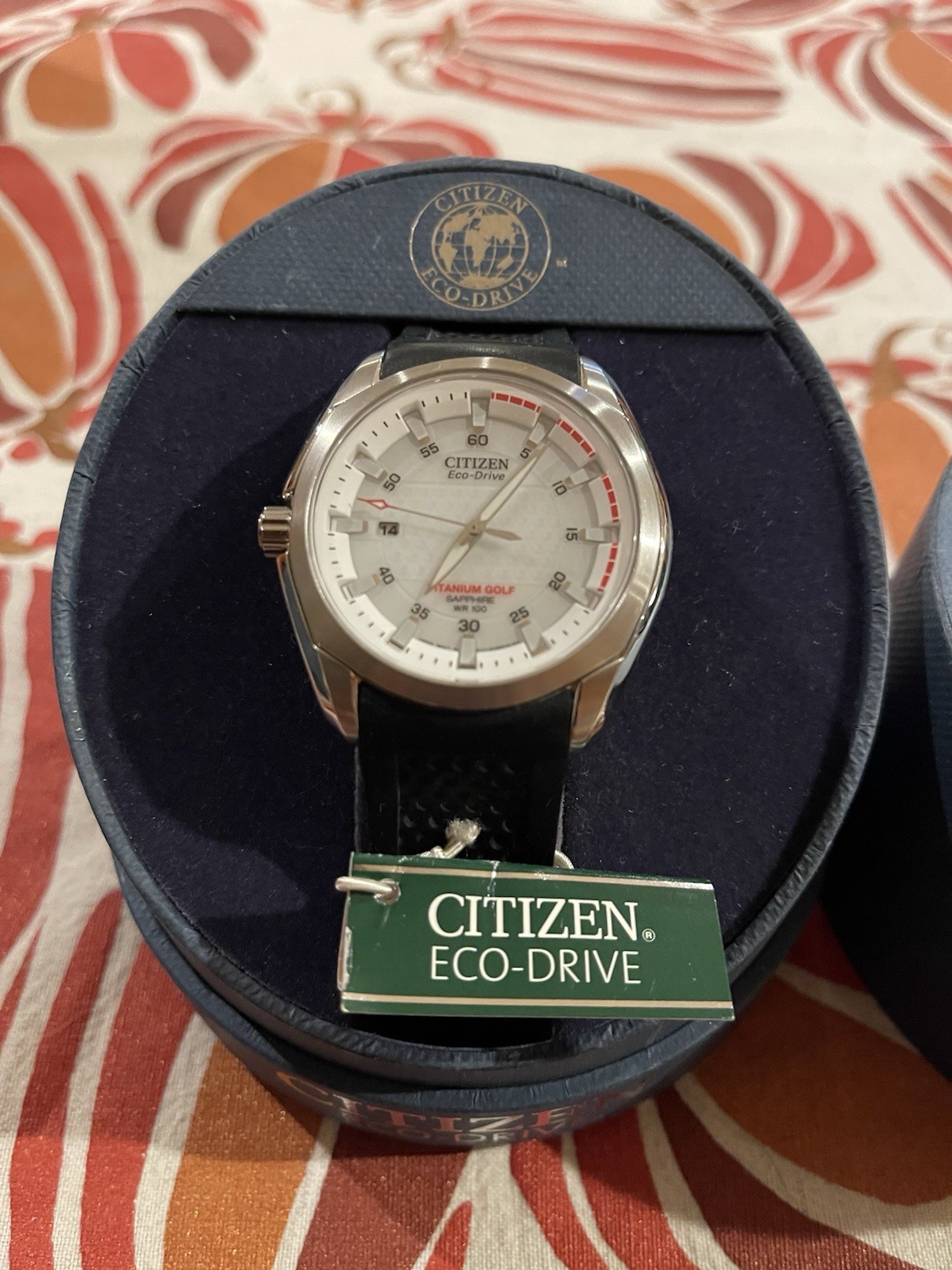 Citizen Eco-Drive Titanium Golf WR 100 Sapphire Crystal Watch E111 ...