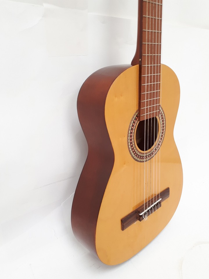 Vintage Rose Morris Constanta Acoustic Guitar No 3058 Right Handed Full ...