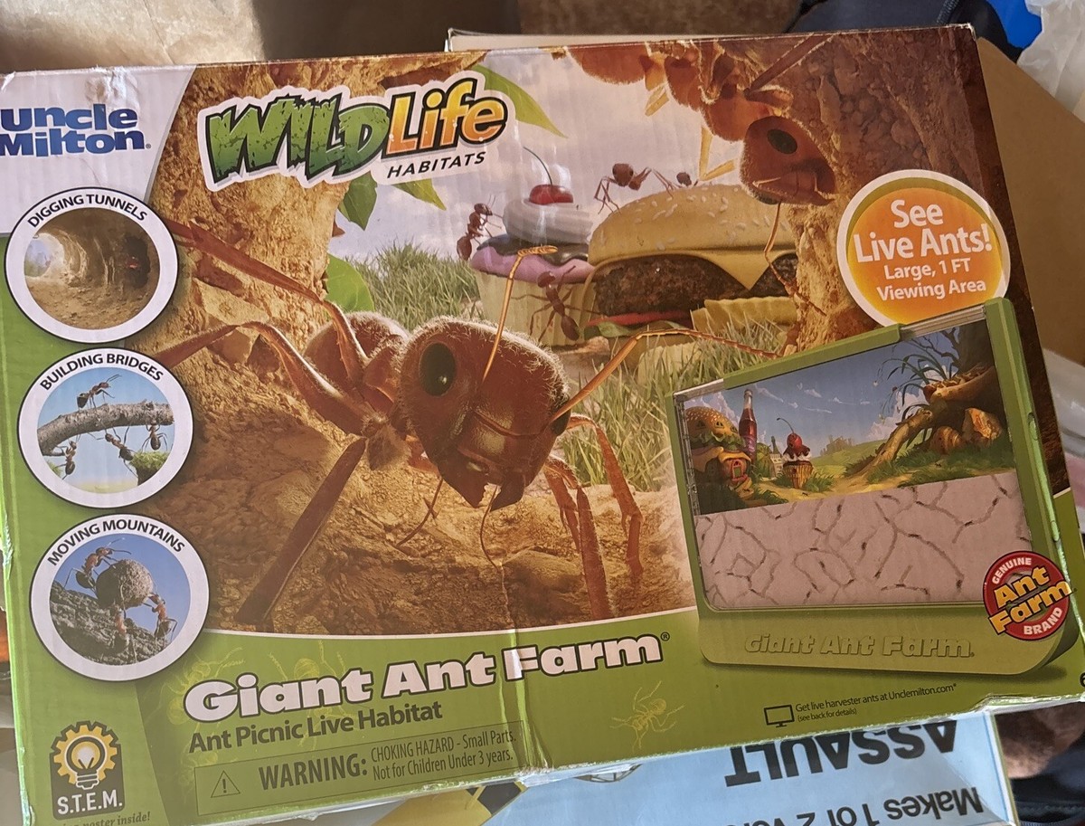 Largest Ant Farm