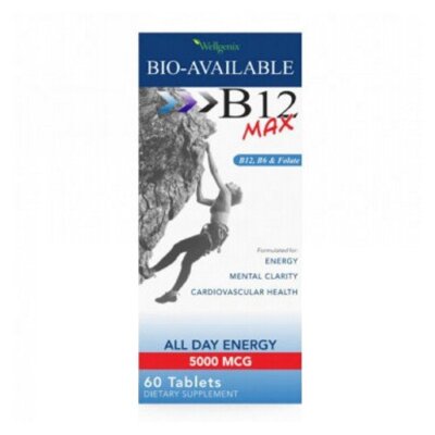 BioAvailable B12 Max 5000mcg 60 Tabs By Wellgenix Health | eBay