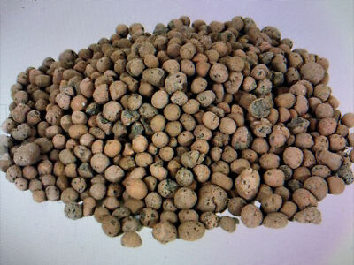 10L Clay Pebbles Refill Bag Hydroponics Aquaponics 8-20mm BARGAIN ...