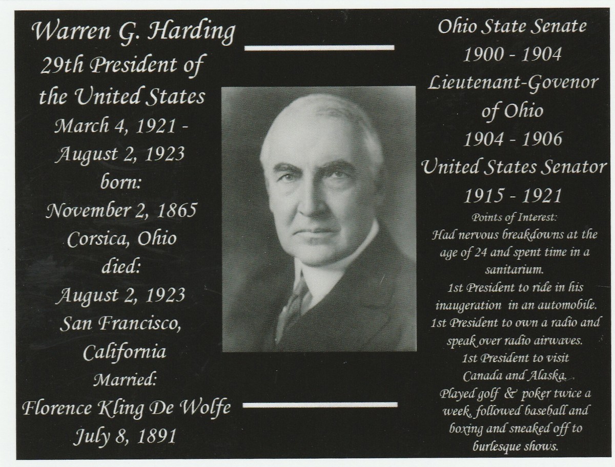 29th President Of The Us