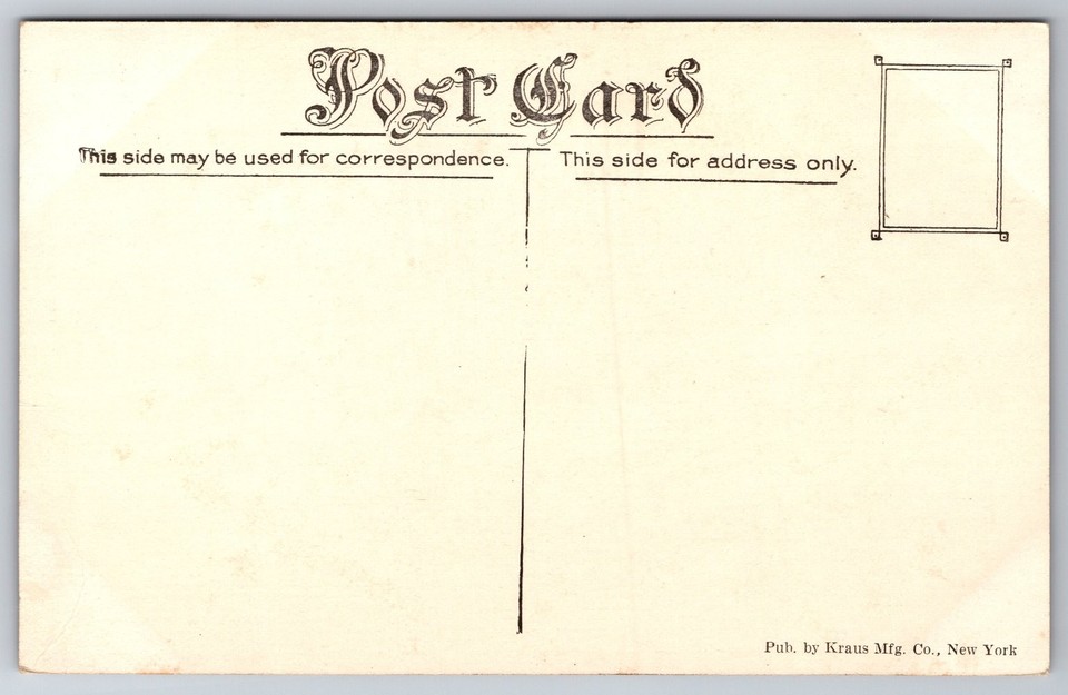 Vintage Postcard Business Section of Village Schroon Lake NY Kraus Mfg ...