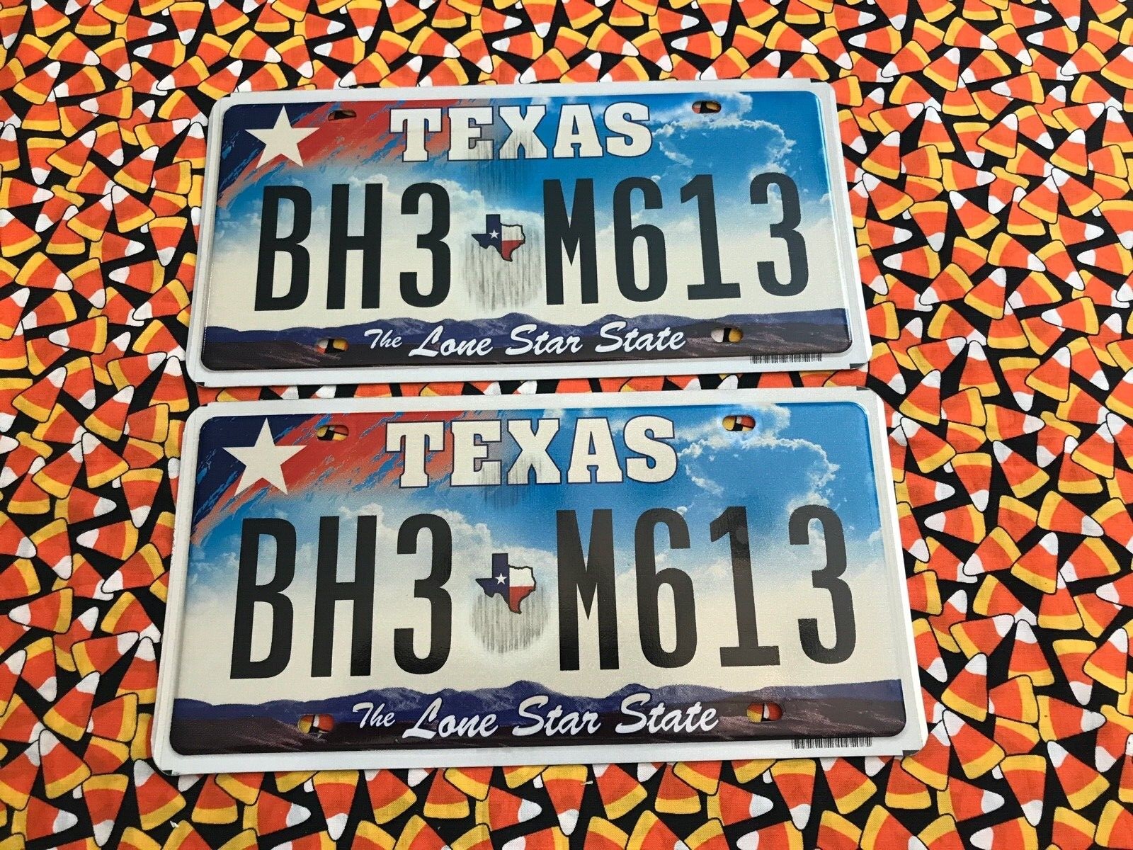 2009-2010 TEXAS PASSENGER Big Sky Dark Blue LICENSE PLATES BH3M613 | eBay