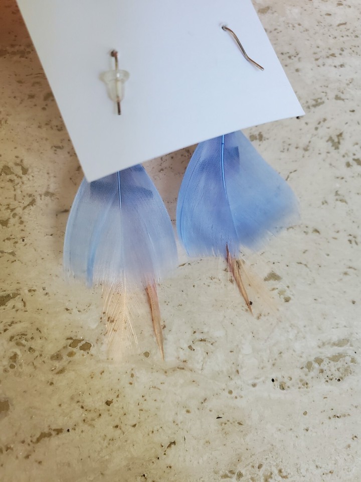 Real FEATHER Earrings Exotic Duck Pierced Wire Dangle One-of-a-kind ...