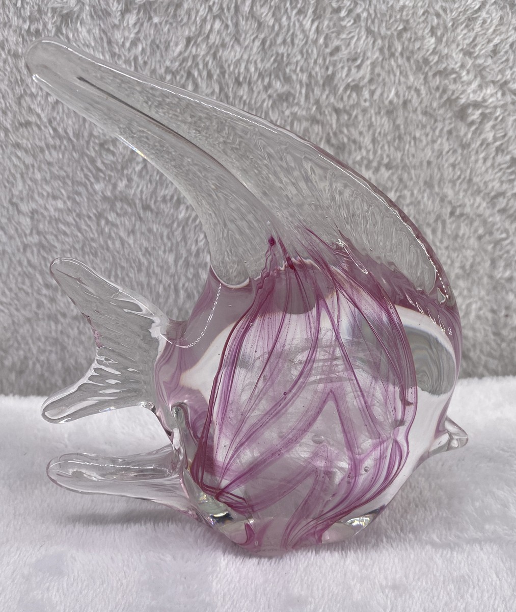 Glow Angelfish Yellowfin Angelfish