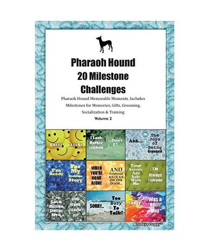 Pharaoh Hound (Kelb Tal-Fenek) 20 Milestone Challenges Pharaoh Hound ...