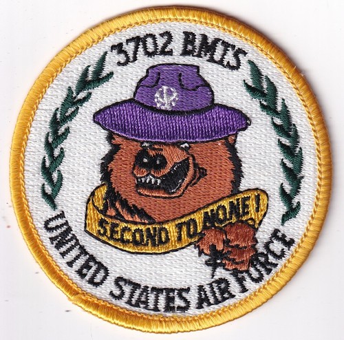 3702 BMTS Bear with hat patch USAF US Air Force Basic Military Training Squadron | eBay