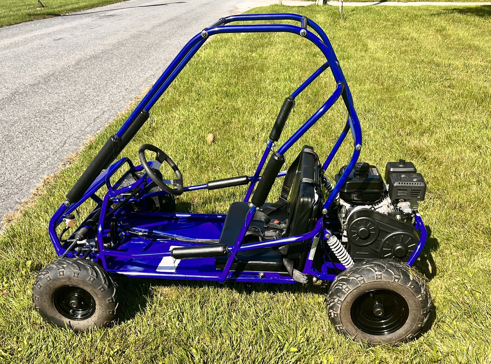 Blue Go Kart—Blue Mid XRS—6.5 Motor—Trail Master | eBay