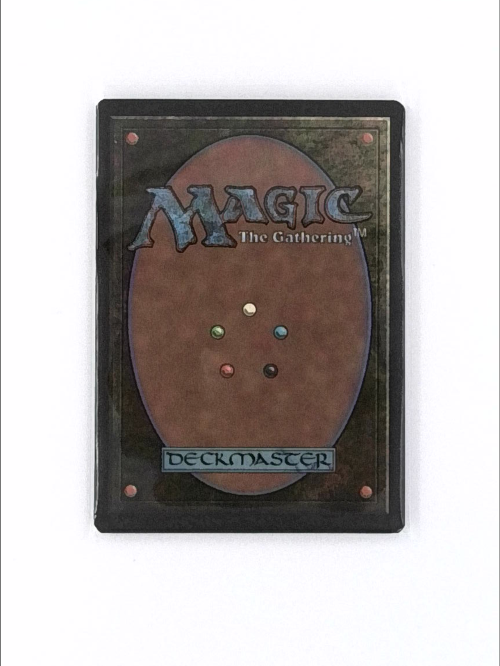 Commander Land Bundle Set EDH Deck Staples Lot MTG Mana Kit Magic The ...