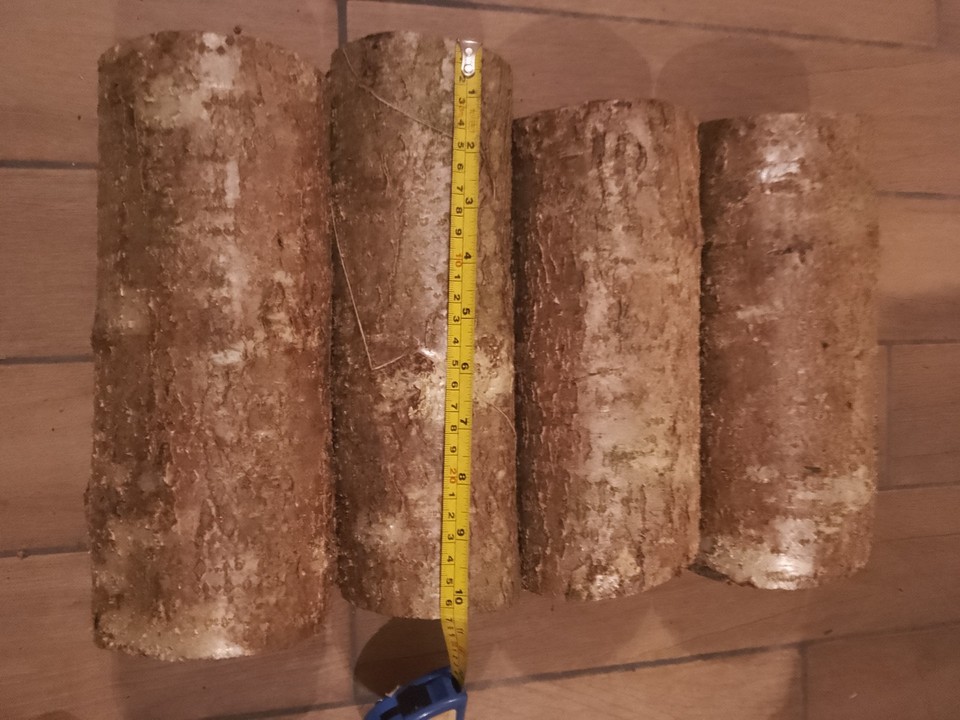 Hazel woodturning spindle blanks,carving,craft wood 6.5kg, lot 47 | eBay UK