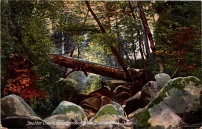 Postcard Bourder Creek near Bracken Brae Boulder Creek Califonia ...