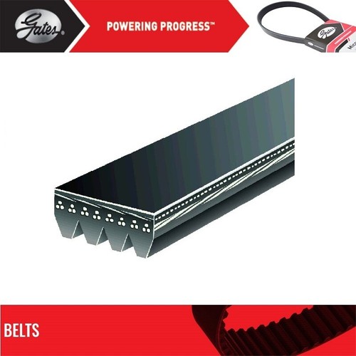 Gates A/C Belt for 2011-2012 INFINITI G25 V6-2.5L | eBay