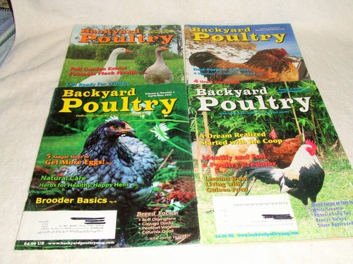 Lot Of 4 Backyard Poultry Magazines ~ 2009 & 2010 ~ Chickens Geese ...