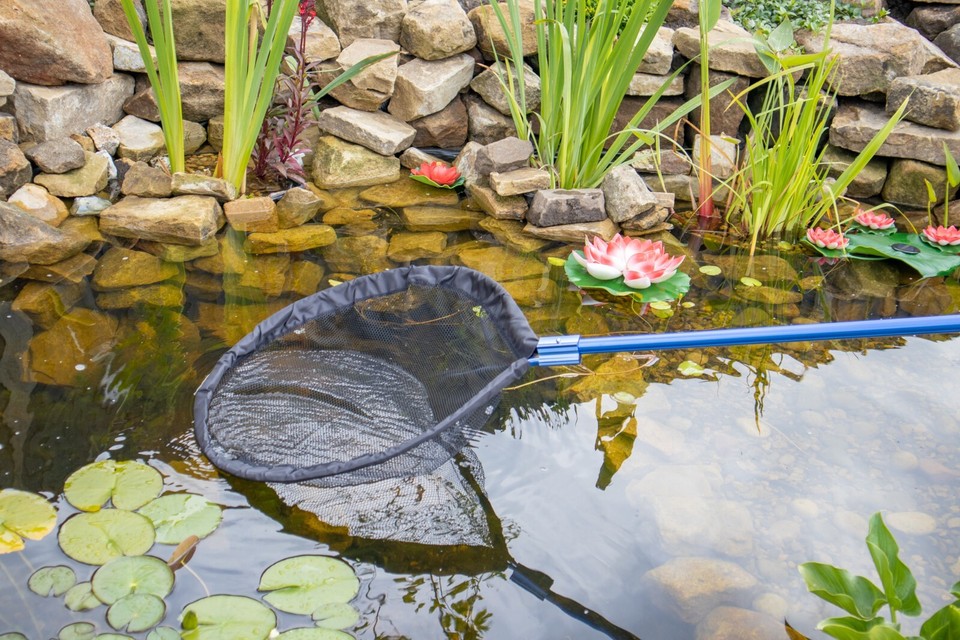 Heavy Duty 30 Inch Koi Pan Net & 10 Ft Telescoping Pole, for Pond ...