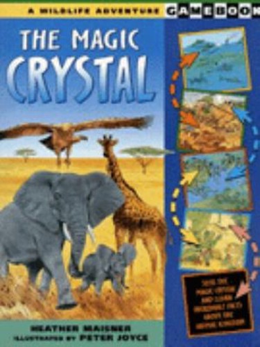 The Magic Crystal Paperback Heather Maisner | eBay