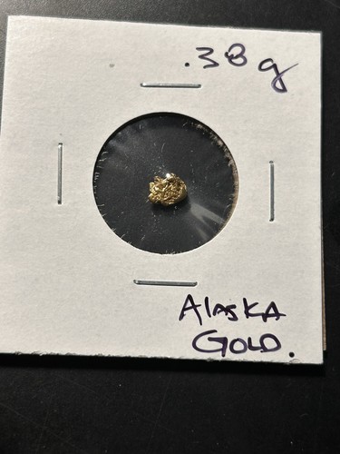 ALASKA GOLD .38 GRAM | eBay