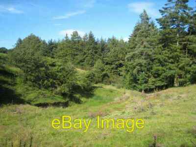 Photo 6x4 Woodland above Pontrobert It is possible to make out the ...