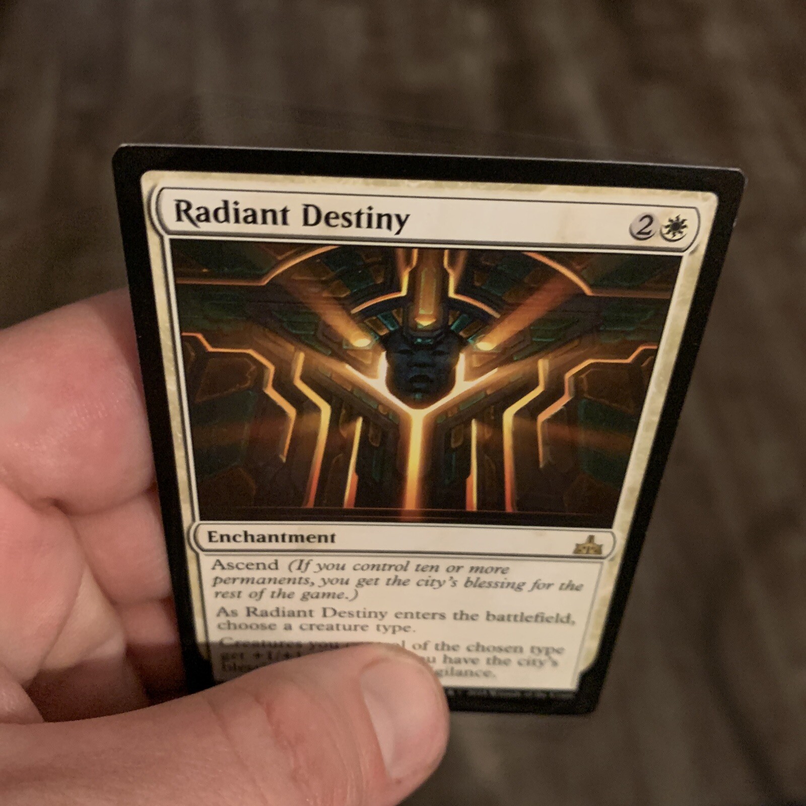 MTG Radiant Destiny Rivals of Ixalan 018/196 Regular Rare | eBay