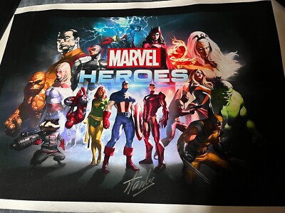 Epic Marvel: Stan Lee Autograph - Signed 32x22 Canvas | eBay UK
