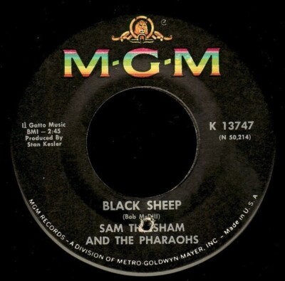Sam The Sham & The Pharaohs Black Sheep Vinyl Single 7inch MGM Records ...