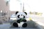 Cute Panda Stuffed Plush Wall Window Hanging Animal Toy Birthday Gift ...